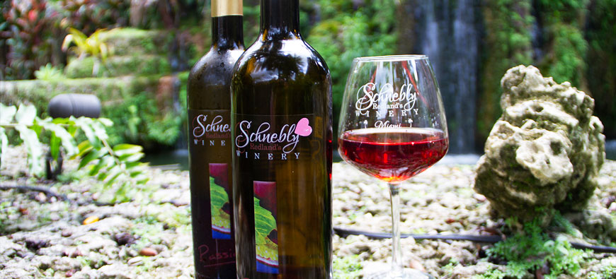 Wine Spotlight: Schnebly Winery's Sparkling Wines