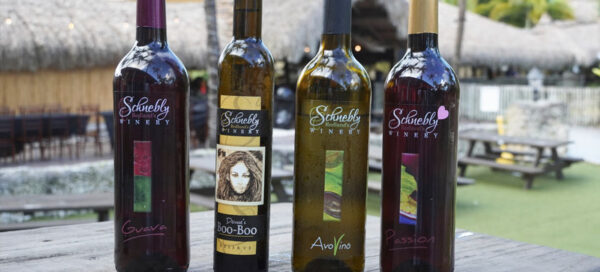 How to pick the perfect fruit wines for any occasion - Schnebly Winery ...